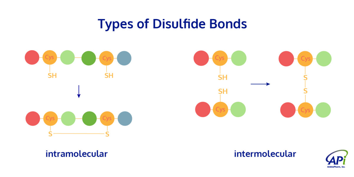 Manufacture Peptides with Disulfide Bonds or Cyclization Motifs ...