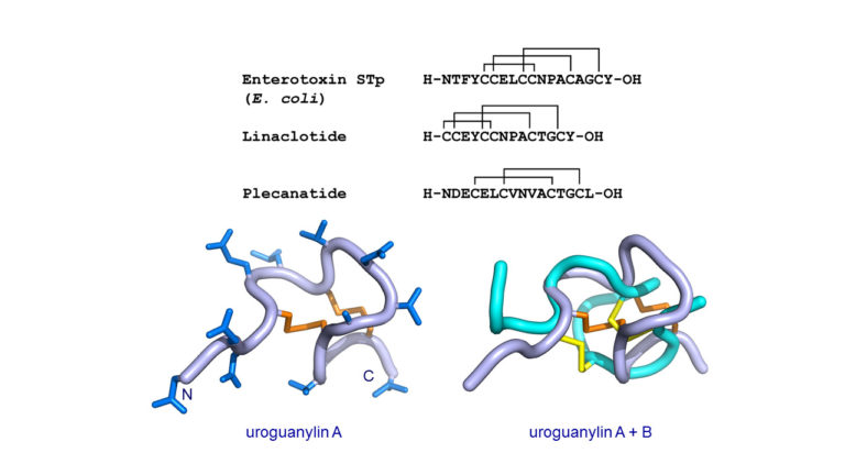Trulance (Plecanatide) | AmbioPharm