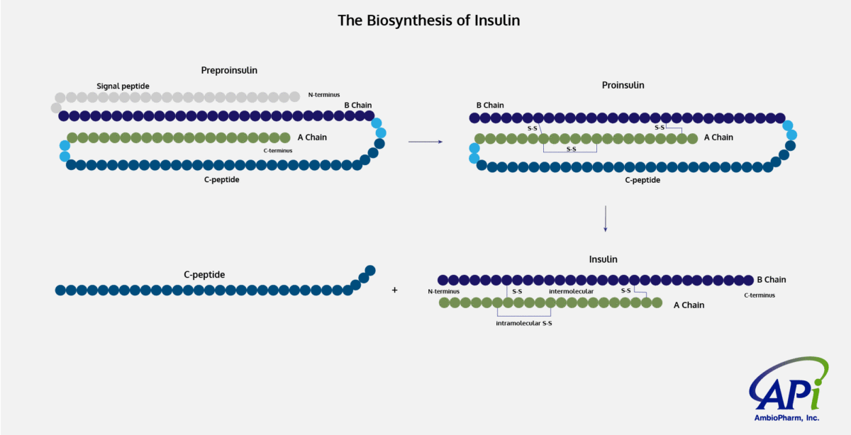 100 Years of Insulin: A Triumph of Science | AmbioPharm